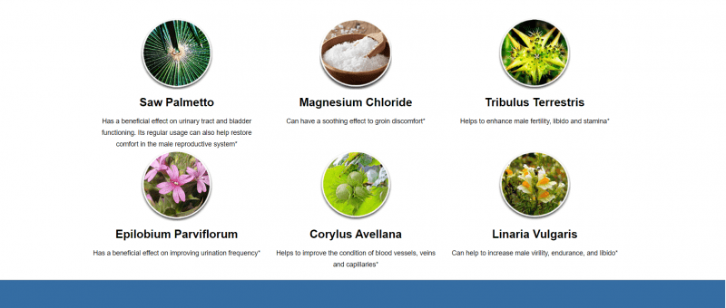 Prostalgene Organic Drops for Prostatitis Treatment | Official Site